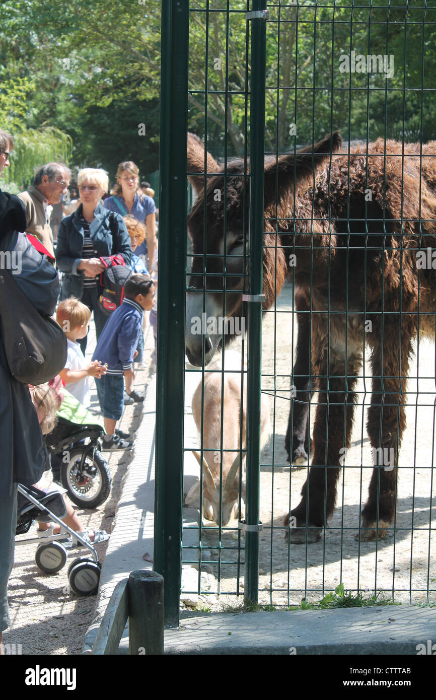 La Rochelle's free entry public park with animal enclosures Stock Photo ...