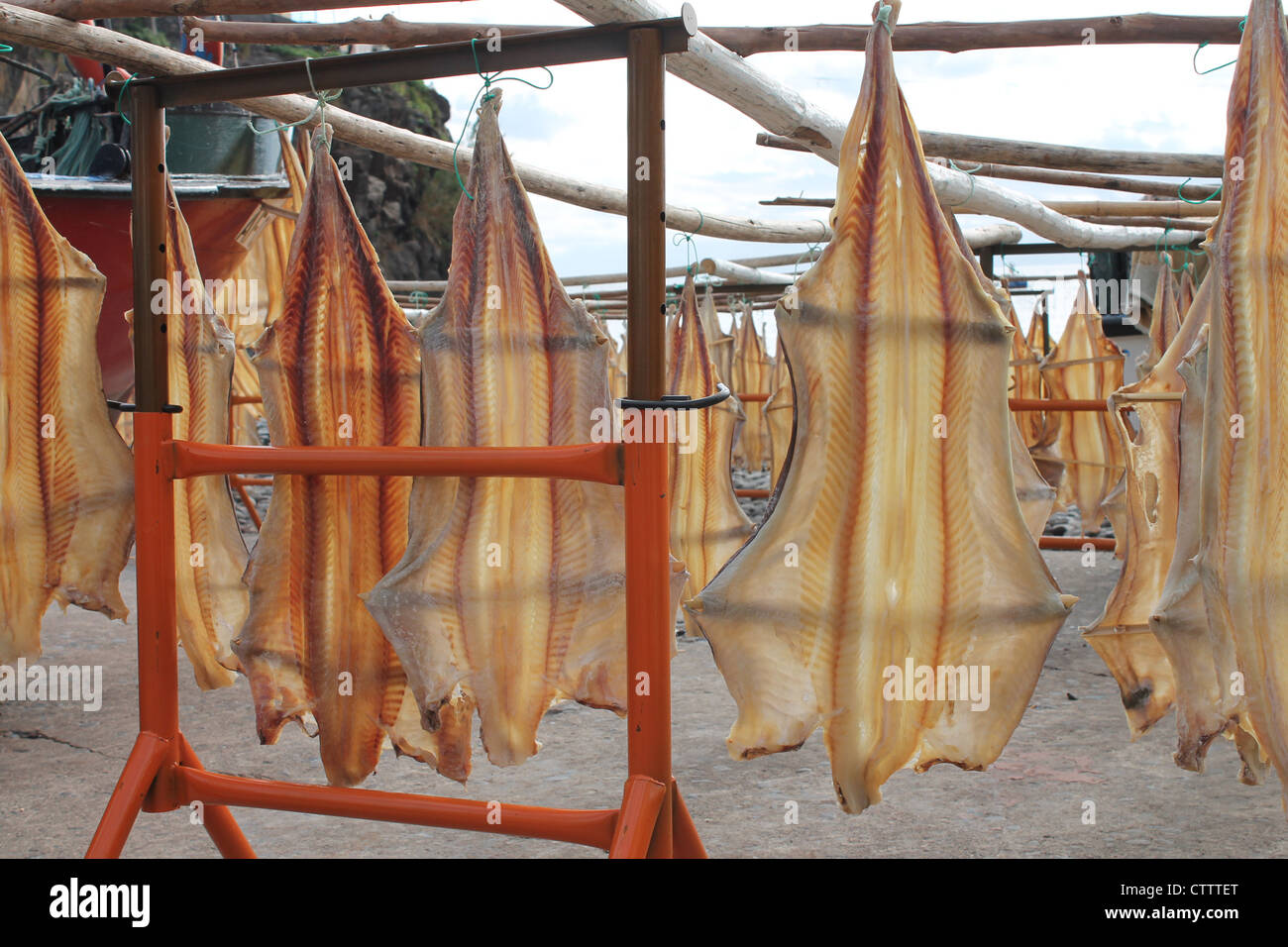 Hanging cod fish drying - Winston Churchill Bay Madeira Stock Photo - Alamy