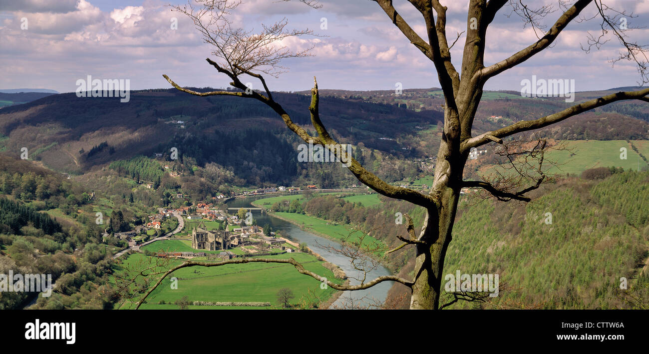 RIVER WYE,WYE VALLEY AND TINTERN ABBEY TAKEN FROM DEVIL"S PULPIT ON ...