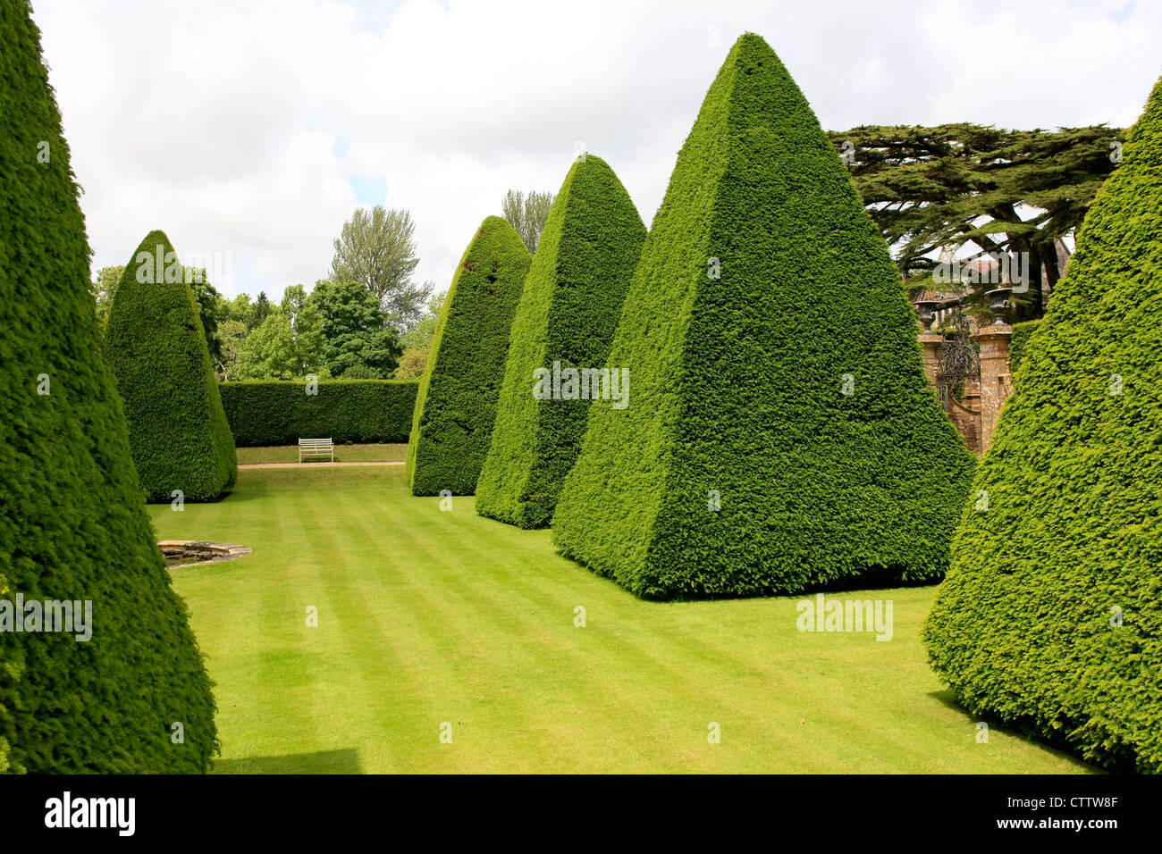 The Obelisk shaped Topiary a main feature of the gardens at ...