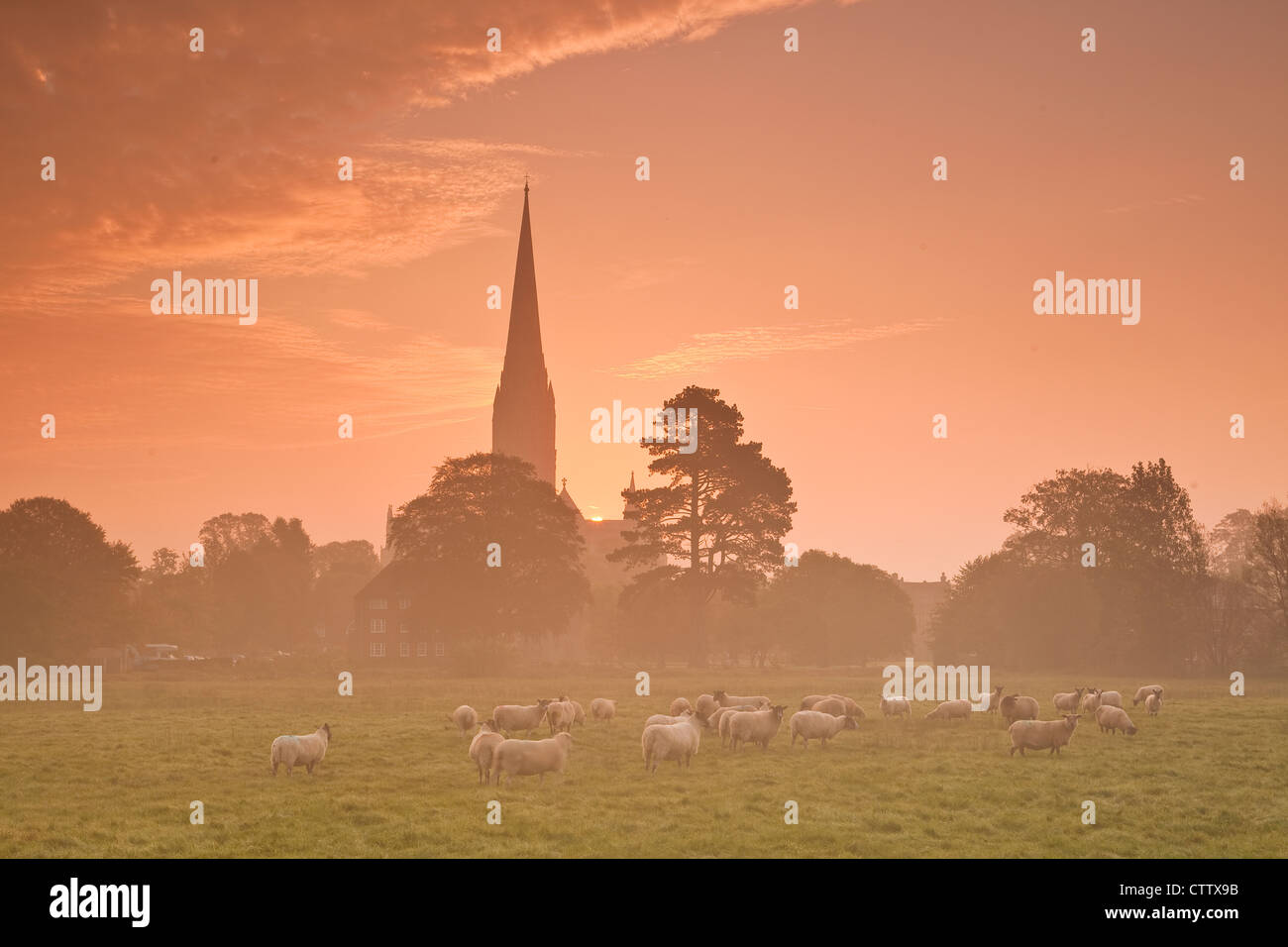 West harnham water meadows hi-res stock photography and images - Alamy