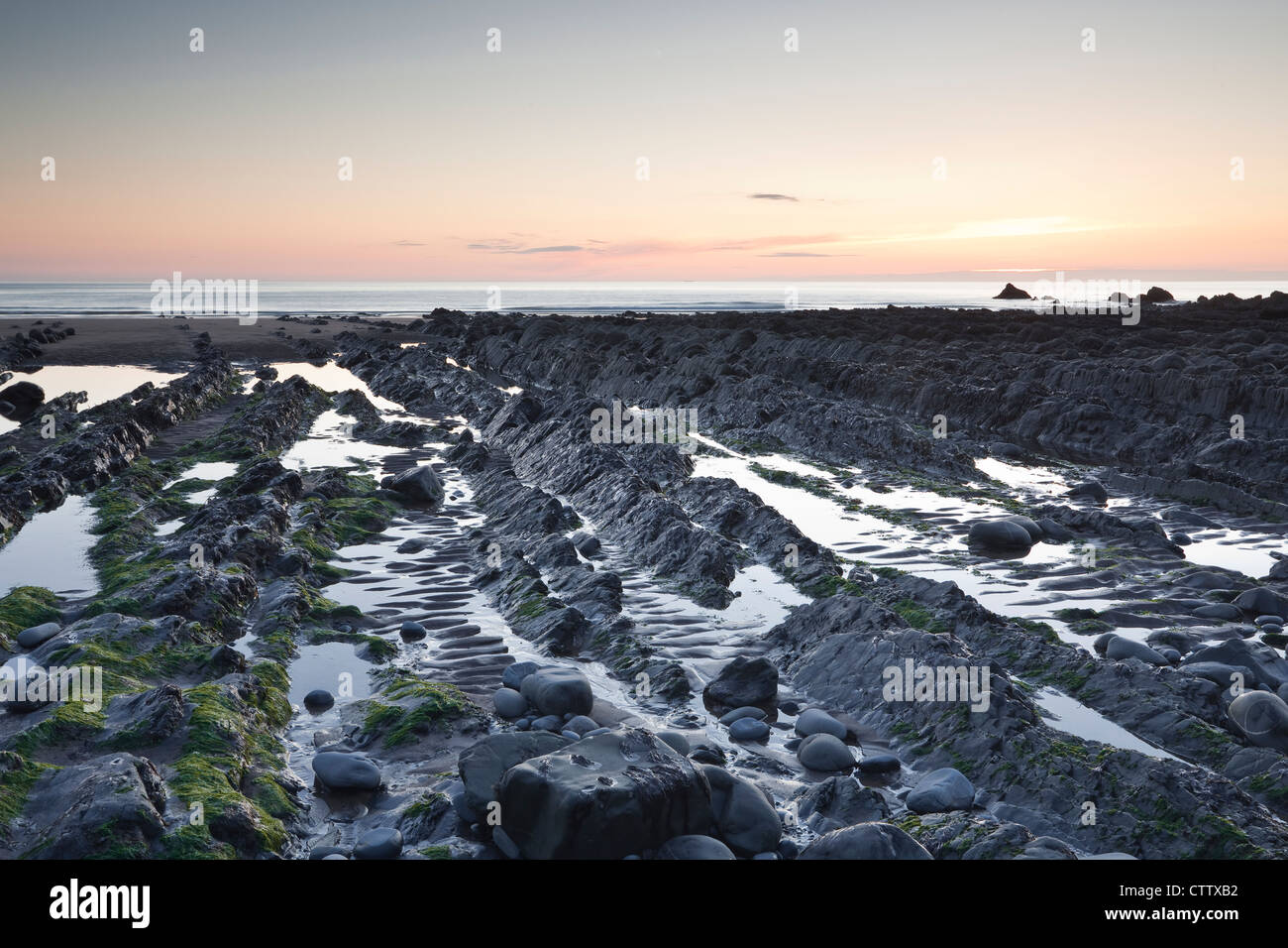 Welcombe Mouth Bay High Resolution Stock Photography and Images - Alamy