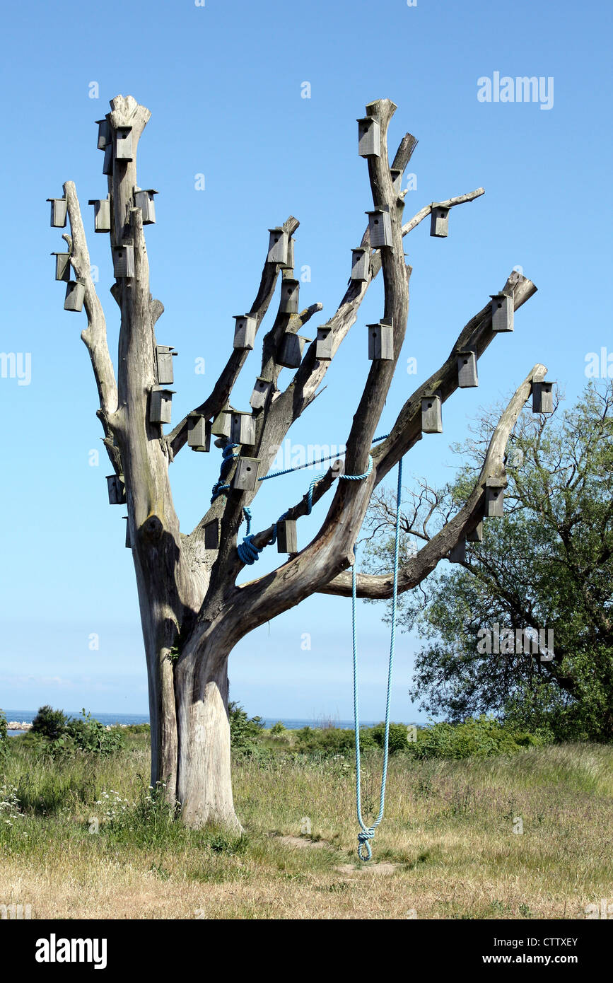 Nesting boxes in a tree Stock Photo - Alamy