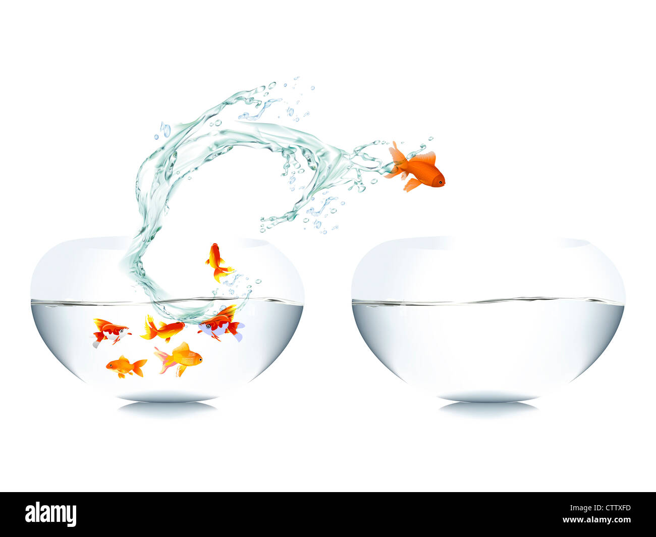isolated goldfish leaping out of water Stock Photo - Alamy