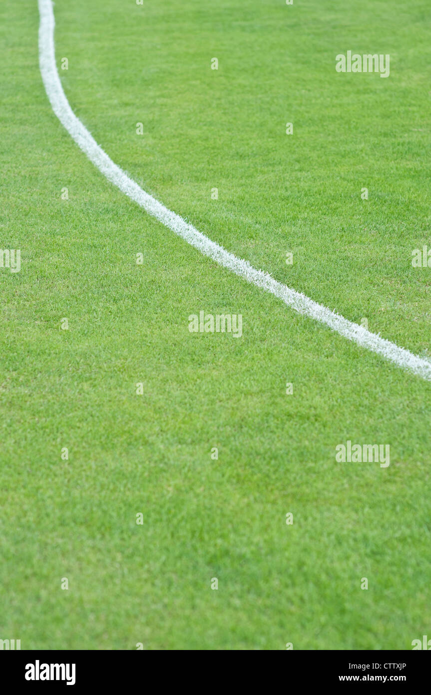 Curved white line painted on green grass showing boundary of a cricket ...