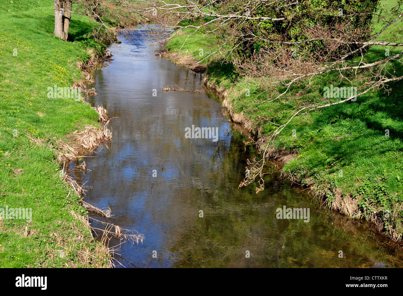 The river Asker at Bridport Dorset UK Stock Photo - Alamy