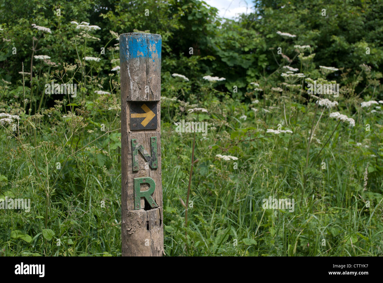 NR / Nature Reserve boundary sign post in front of wild flowers, bushes ...