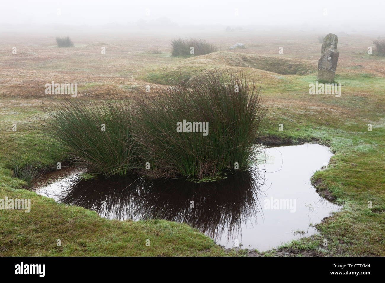 Cornwall landscape mist hi-res stock photography and images - Alamy