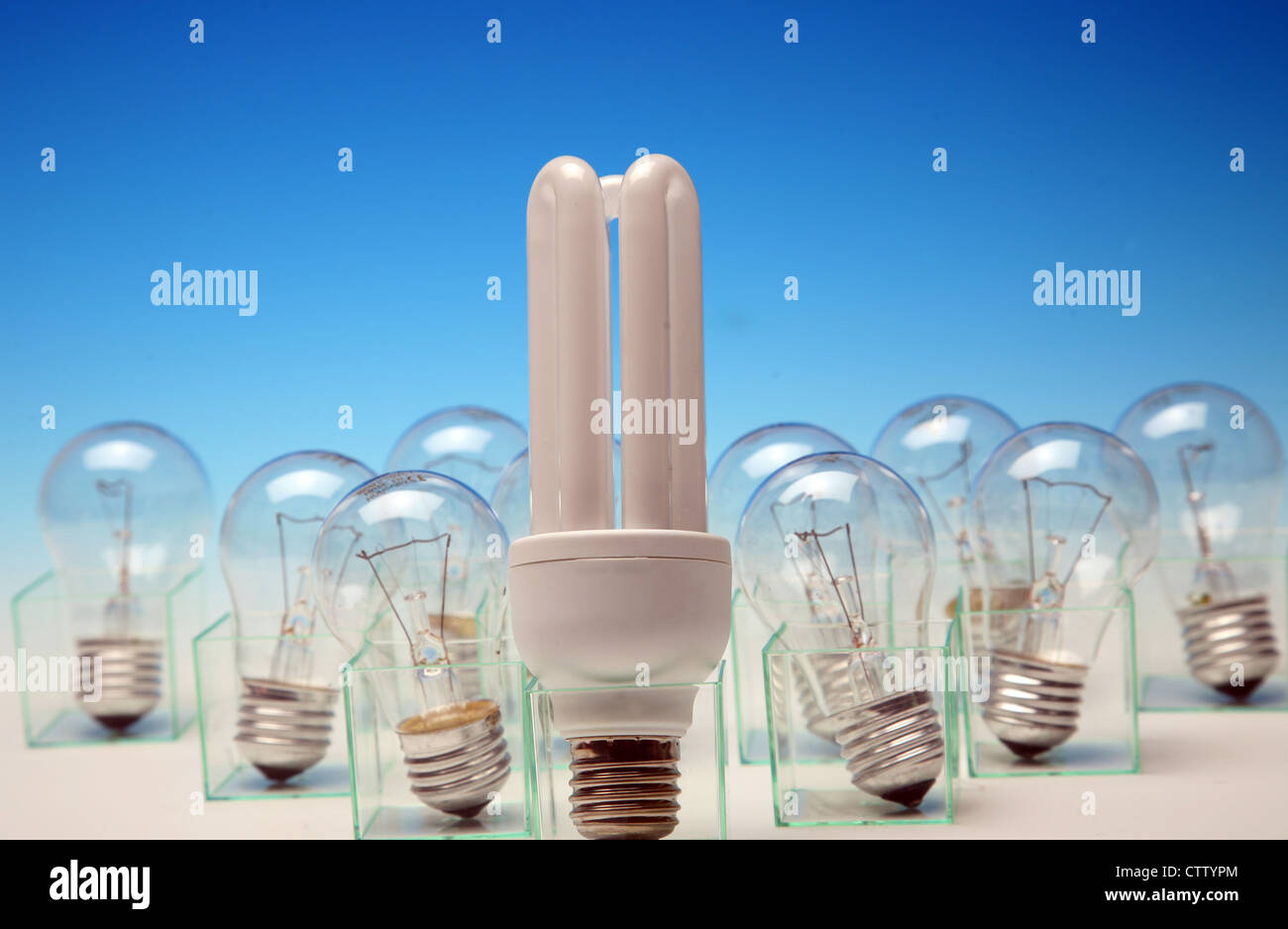 Energy-efficient vs normal light bulbs Stock Photo - Alamy