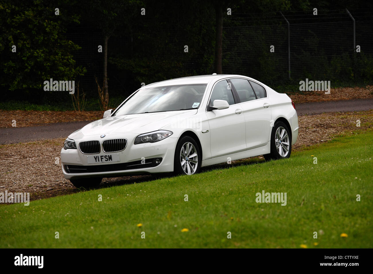 Track Day at Goodwood Motor Racing Circuit with Rover, Austin, MG and ...