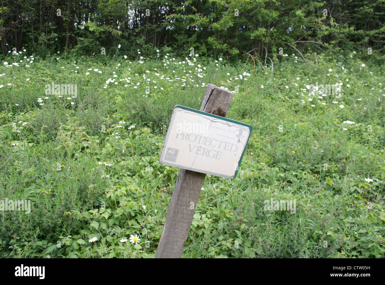 Faded Protected Verge sign in front of wild grass and other wild ...