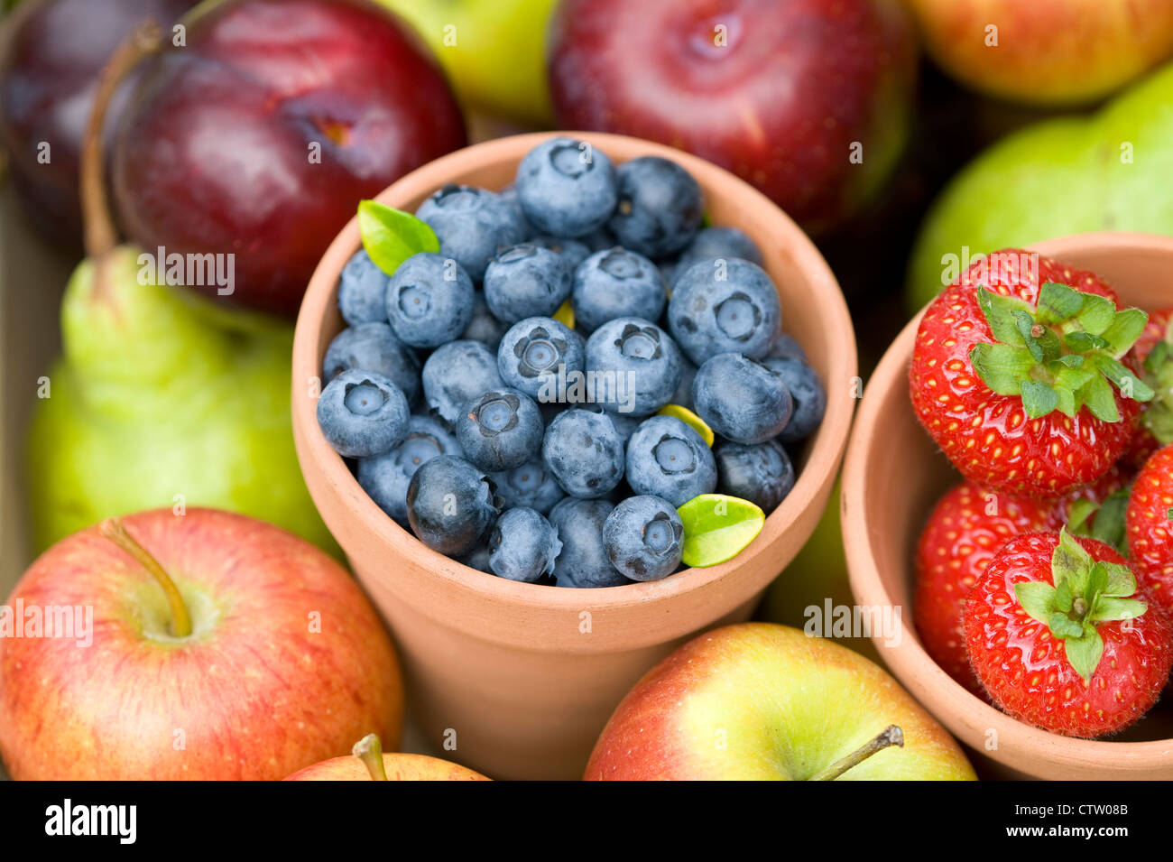 summer or autumn freshly picked british fruit including: blueberries ...