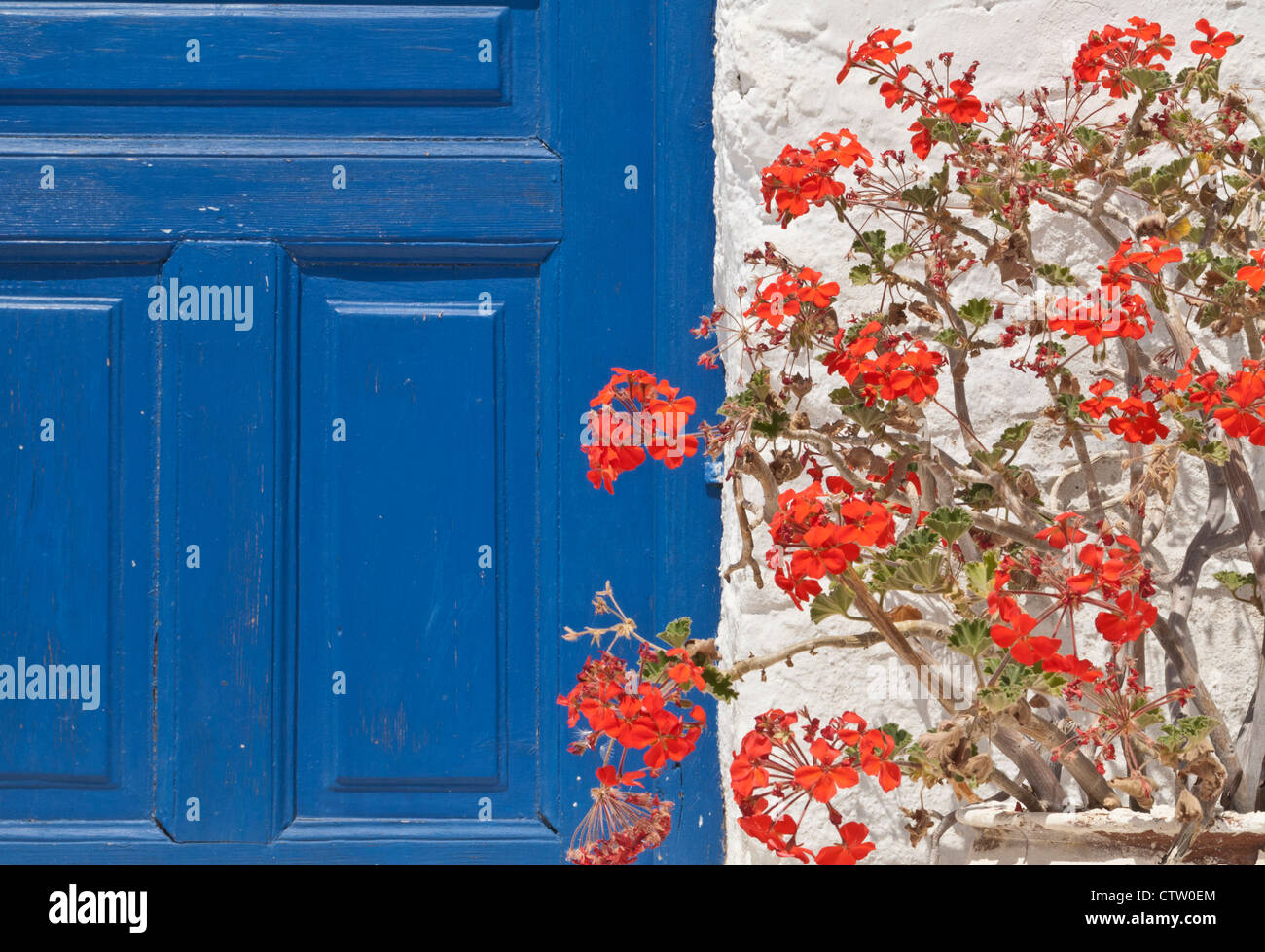 Greek Island detail of a blue door and red geranium in the old Chora of ...