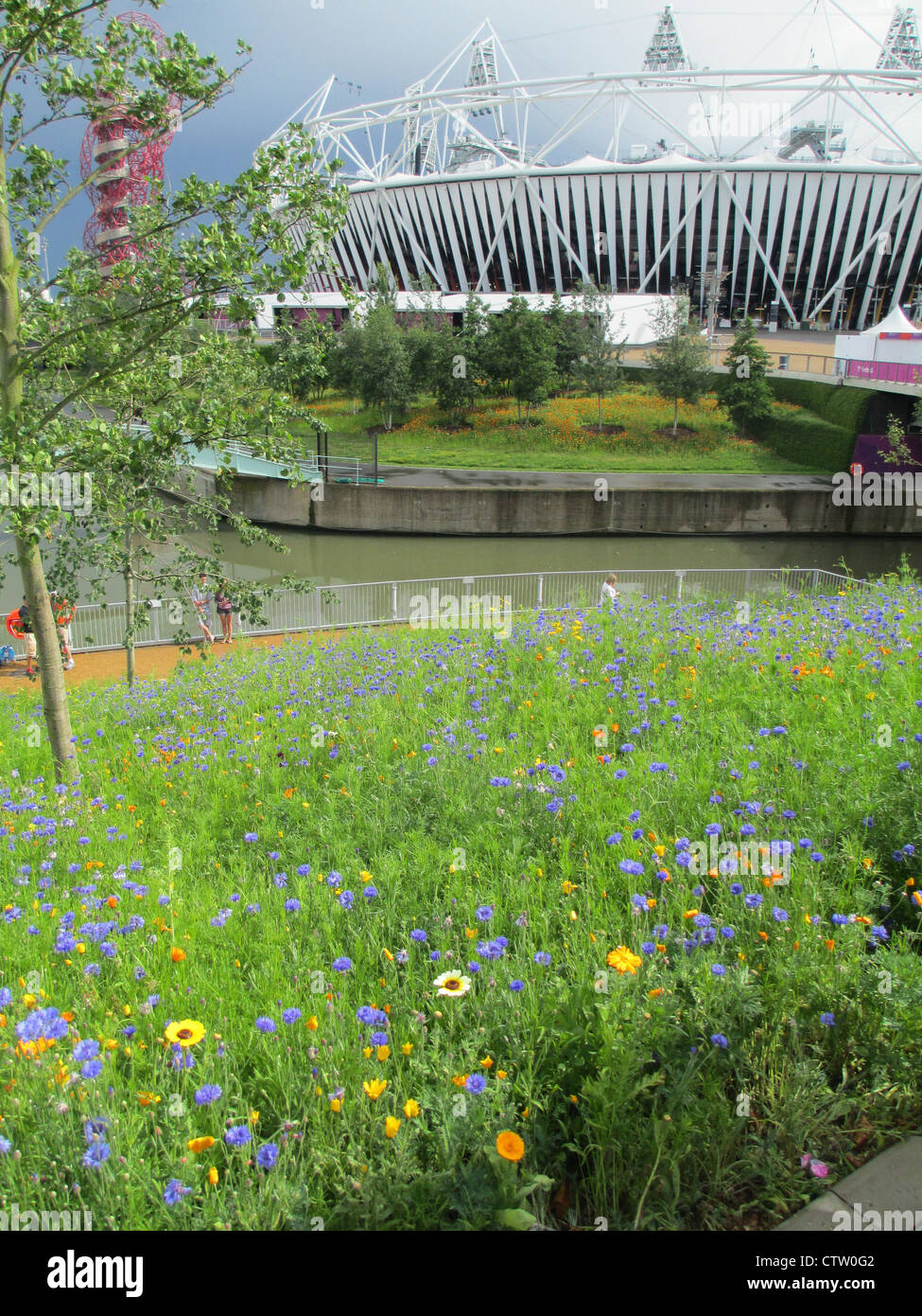 Wild park stadium hi-res stock photography and images - Alamy