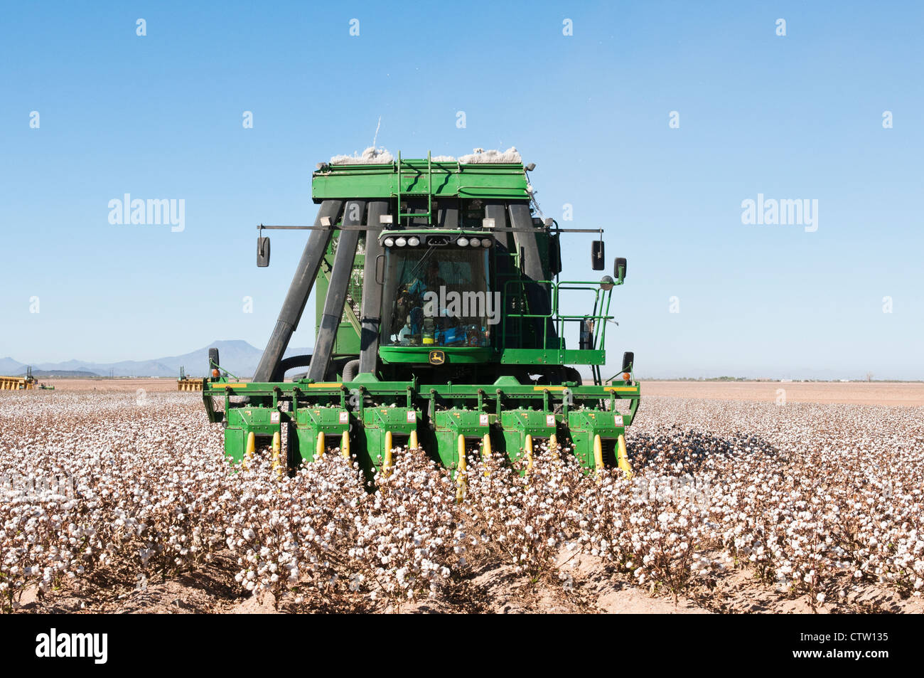 A pair of cotton picking machines harvest a cotton field in Arizona ...