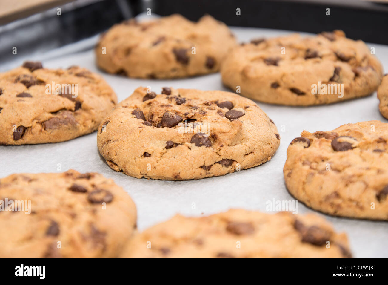 Fresh homemade Chocolate Cookies on a griddle Stock Photo - Alamy