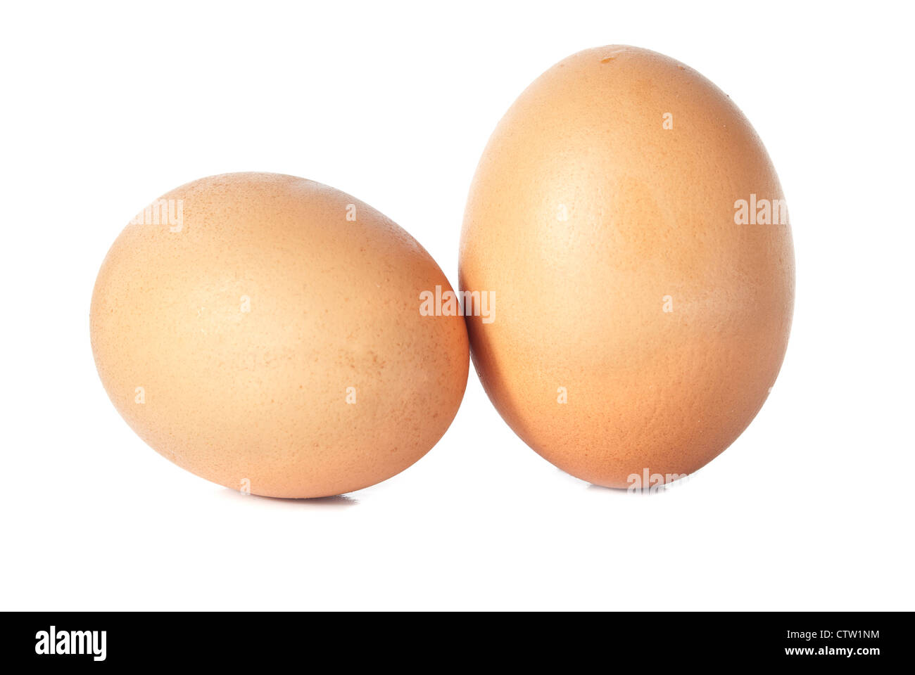 two eggs are isolated on a white background Stock Photo - Alamy