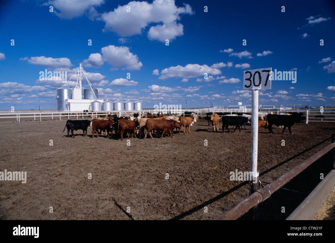 1000 lbs hi-res stock photography and images - Alamy