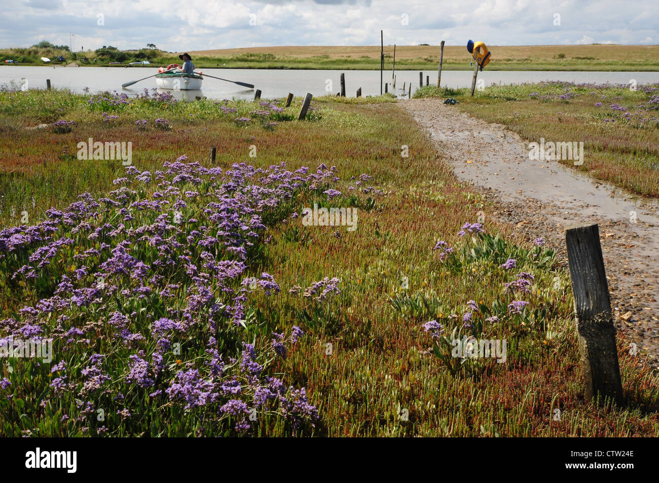 Butley Ferry, Butley River, Suffolk Stock Photo - Alamy