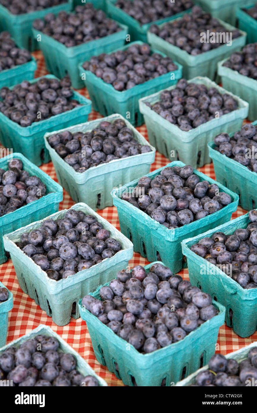 Cartons of Blueberries Stock Photo - Alamy