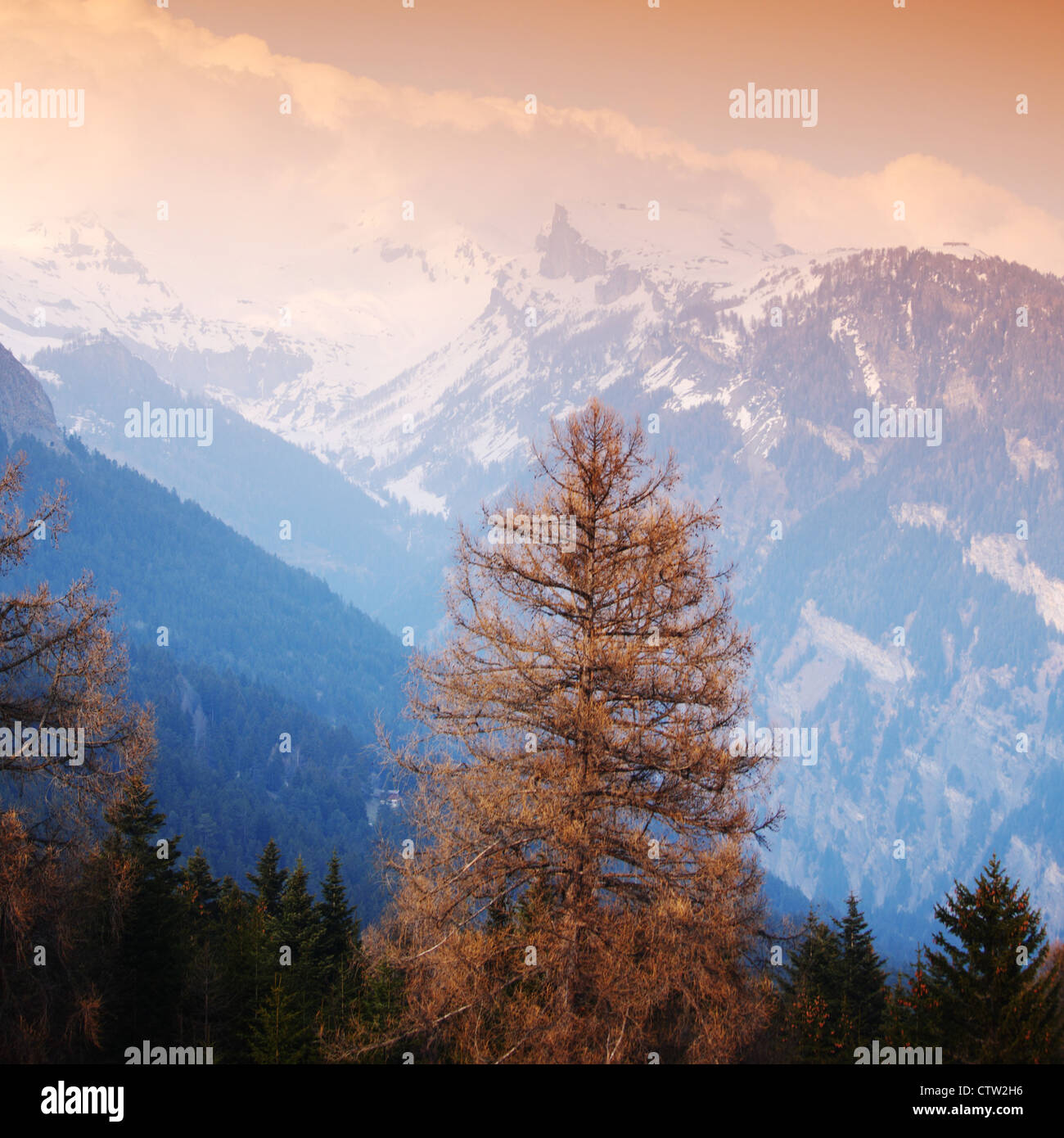 spring alps mountains scene background Stock Photo - Alamy