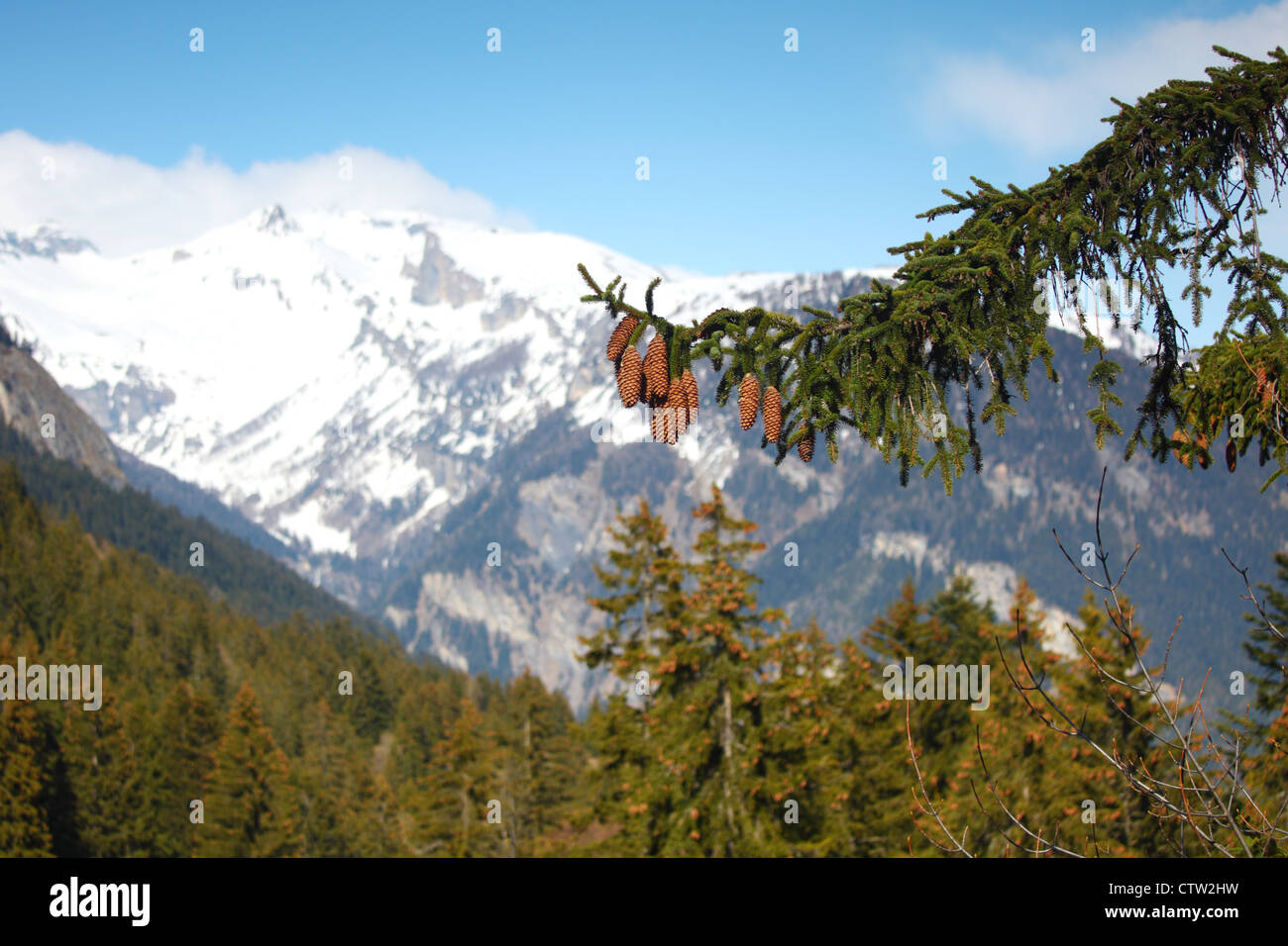 spring alps mountains scene background Stock Photo - Alamy