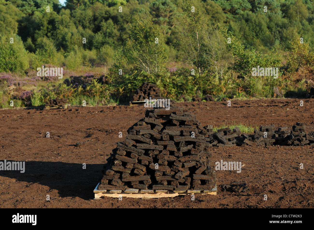 Sods of turf hi-res stock photography and images - Alamy