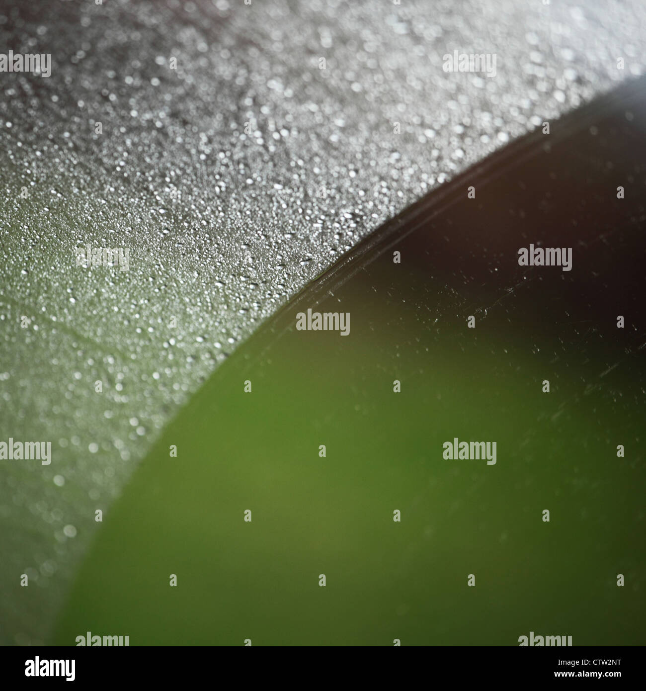 water drops on car glass Stock Photo - Alamy
