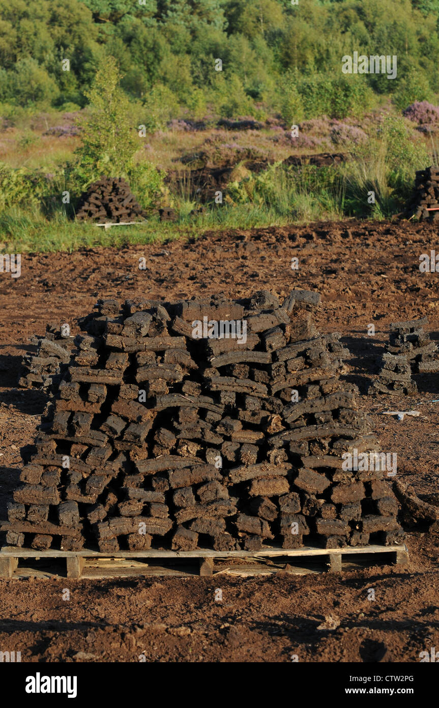 Sods of turf stacked to dry on a wooden pallet , Emlagh Bog, Oristown ...