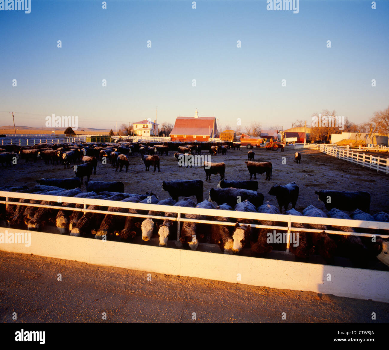 Feedlot building hi-res stock photography and images - Alamy