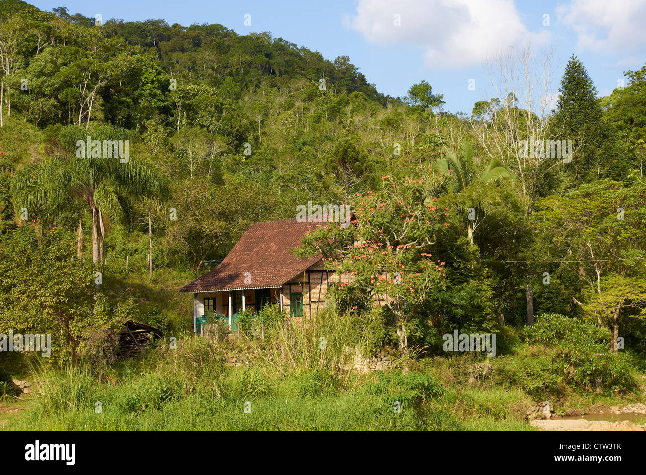 Half-timbered farmhouse in the Atlantic Rainforest Stock Photo - Alamy
