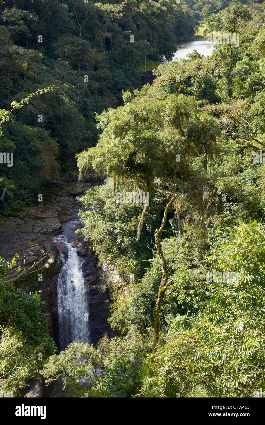 Waterfall in the rainforest Stock Photo - Alamy