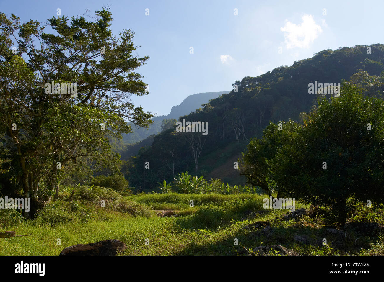 Rural landscape in the lower valley of the Itajai River Stock Photo - Alamy