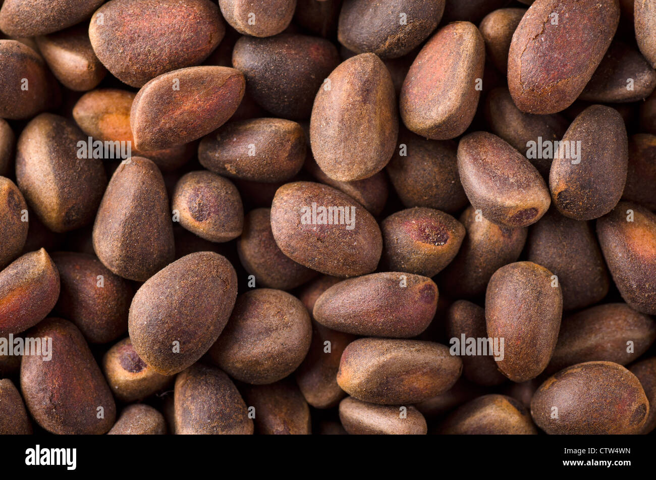 Background of raw fresh pine nuts Stock Photo - Alamy