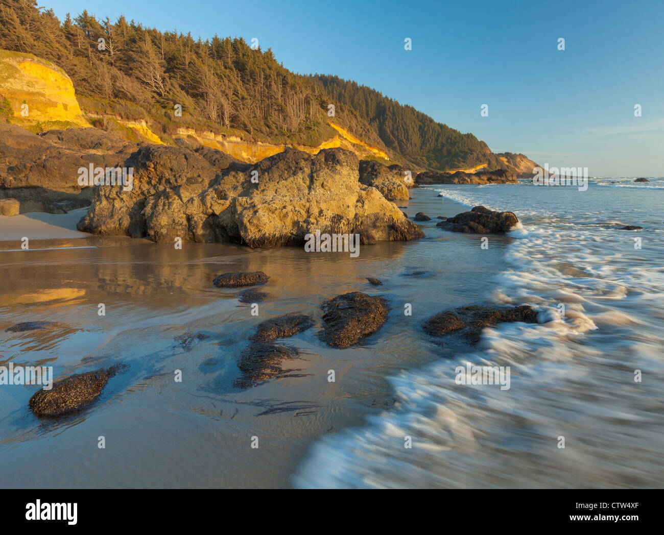 Ecola beach state park oregon hi-res stock photography and images - Alamy