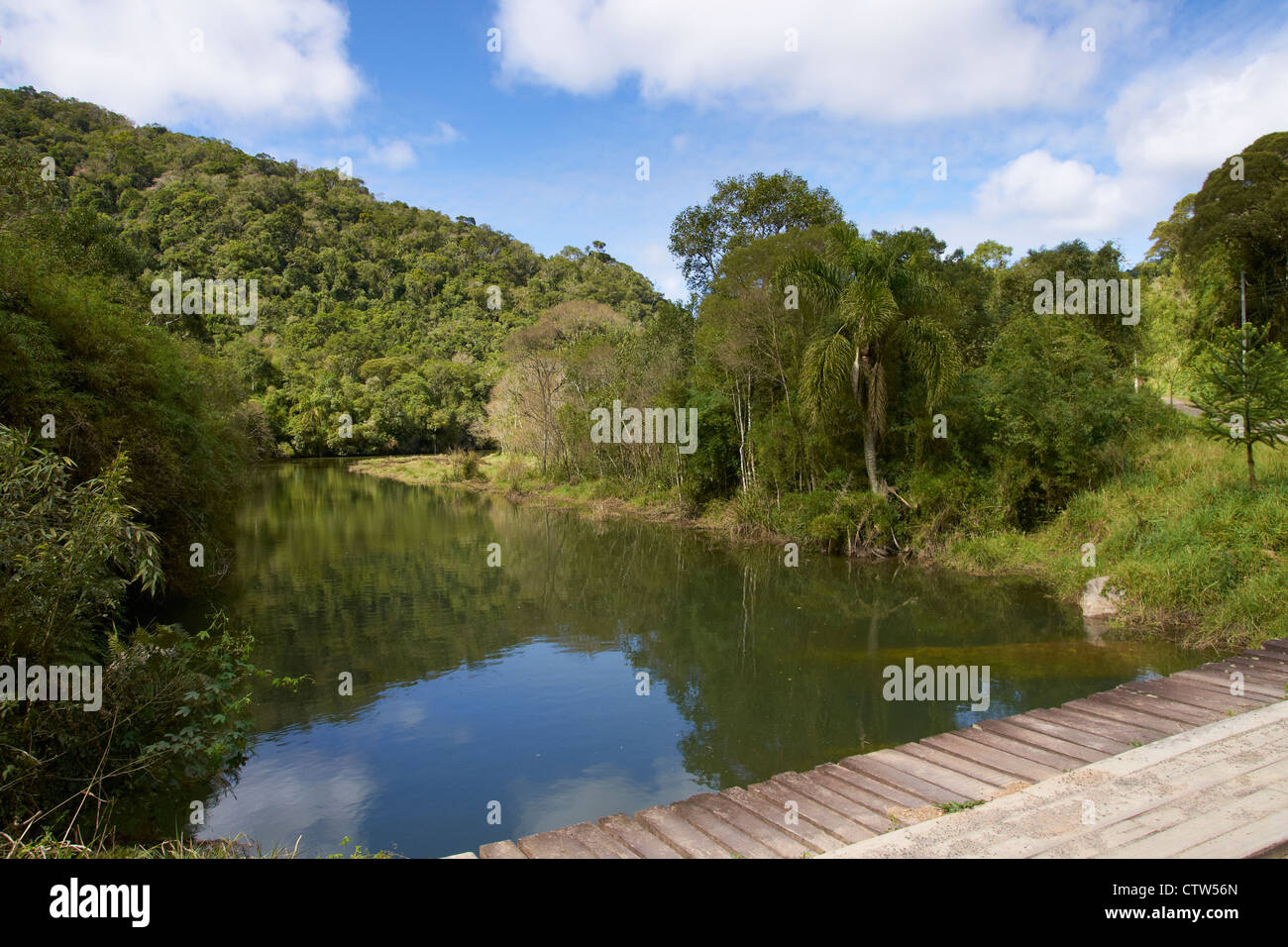 Atlantic rainforest hi-res stock photography and images - Alamy