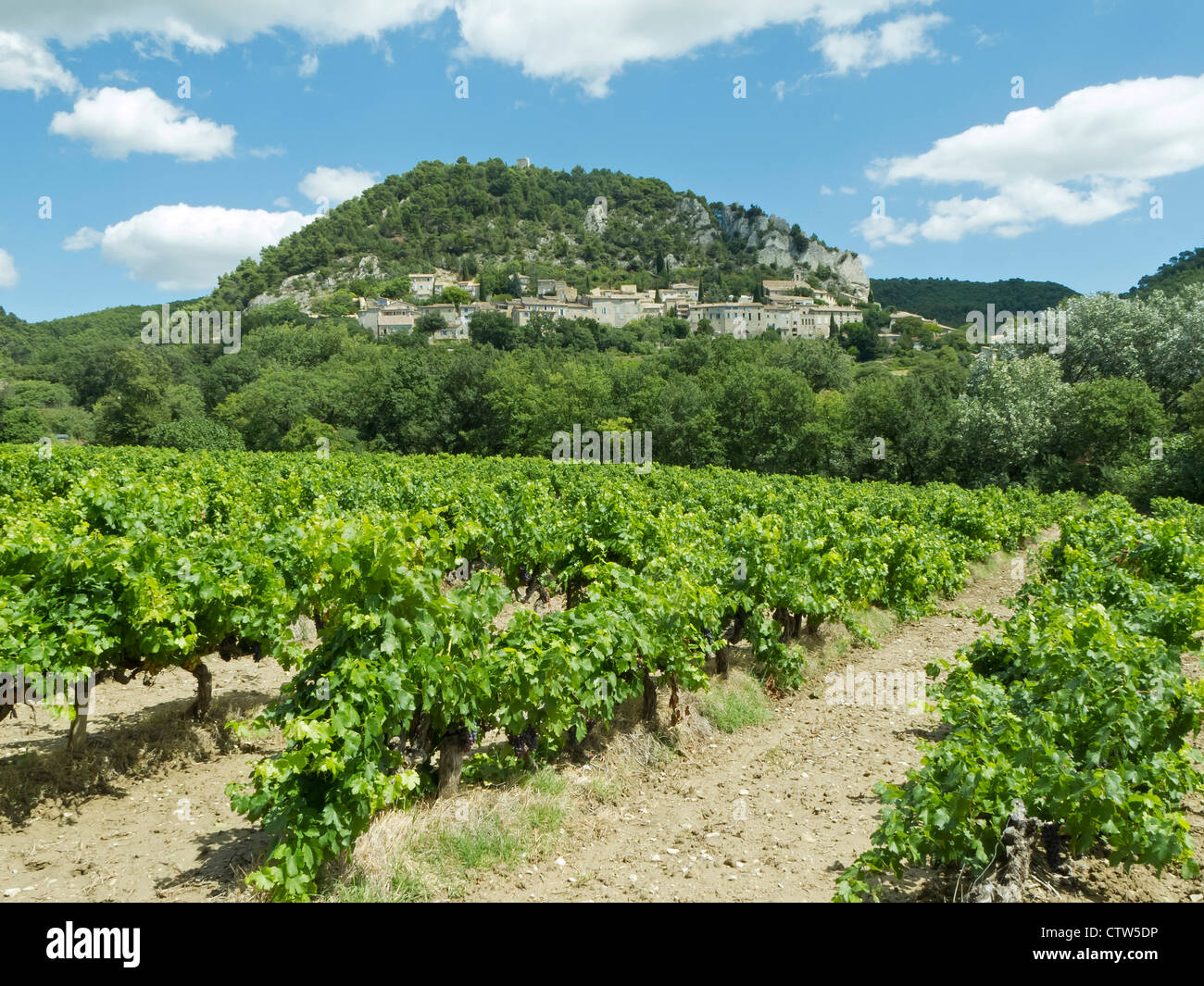 Cote du rhone vines hi-res stock photography and images - Alamy