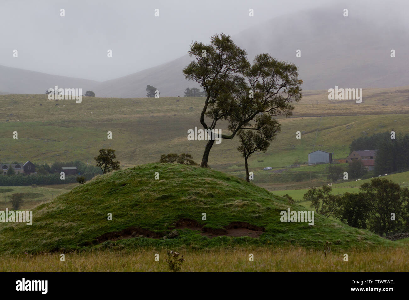 Cairn in the Cairngorms, an ancient burial mound, a tree grows on top ...