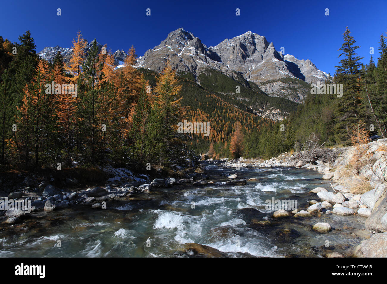 River in Swiss National Park in autumn Stock Photo - Alamy