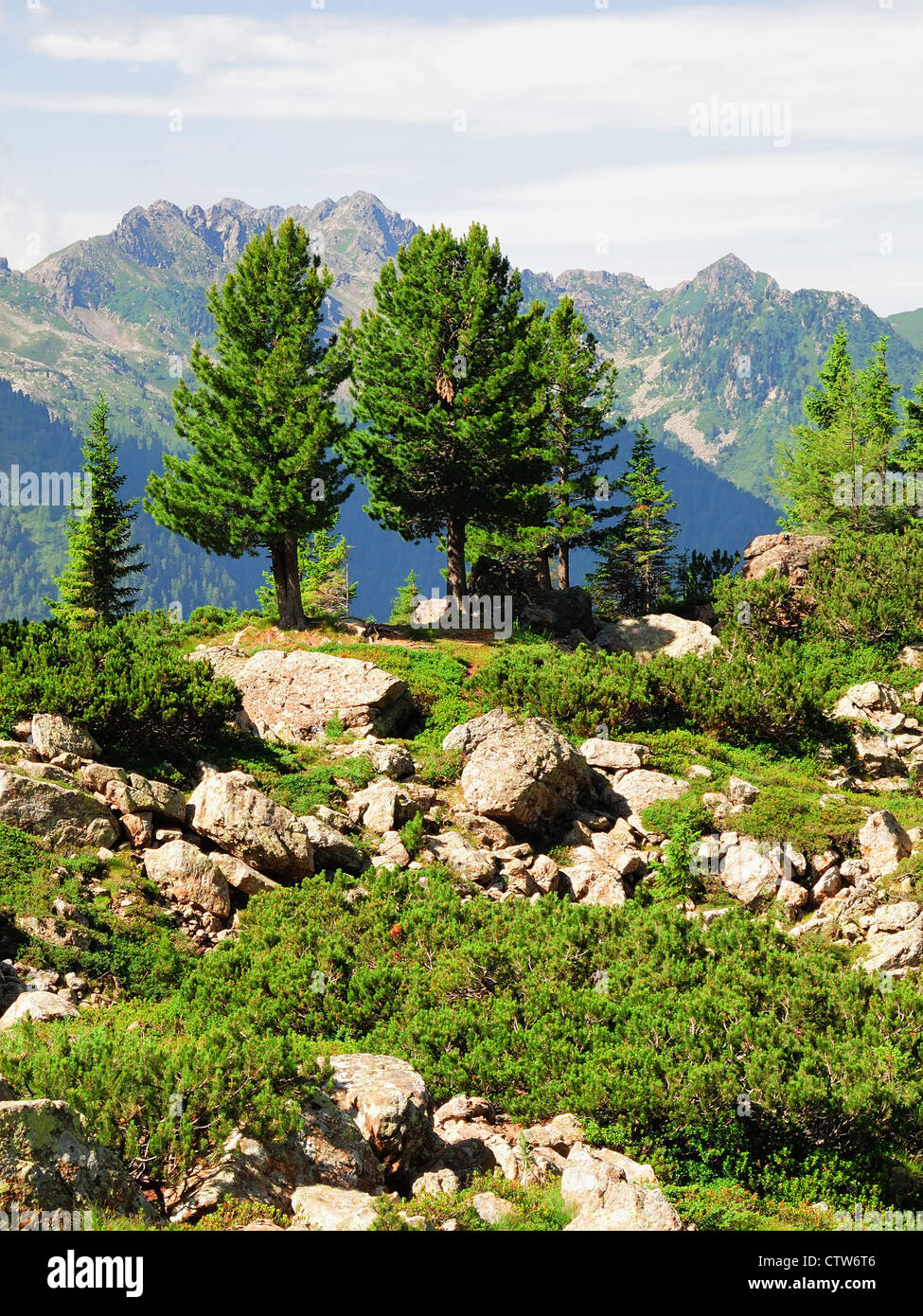 Dolomiten, Passo Manghen, Telve, Trentino, South Tyrol, Italy Stock Photo - Alamy
