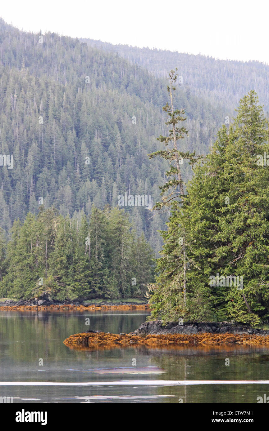 A nice landscape in the inside passage of Alaska Stock Photo - Alamy