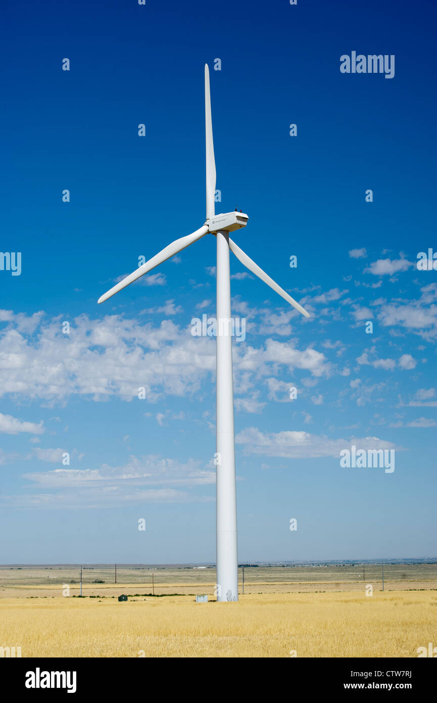 Wind turbines in corn fields hi-res stock photography and images - Alamy