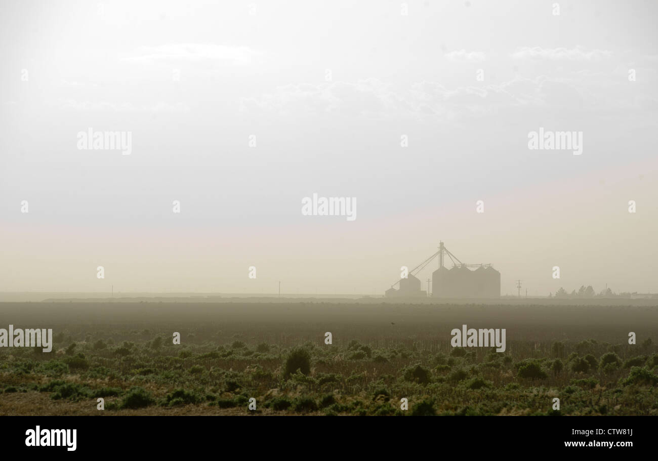 Cattle dust storm hi-res stock photography and images - Alamy