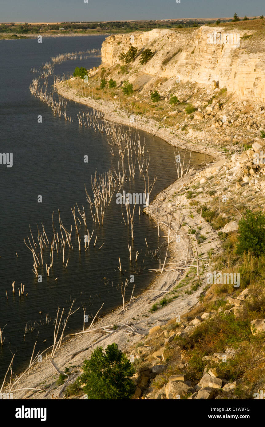 Shoreline cedar tree hi-res stock photography and images - Alamy