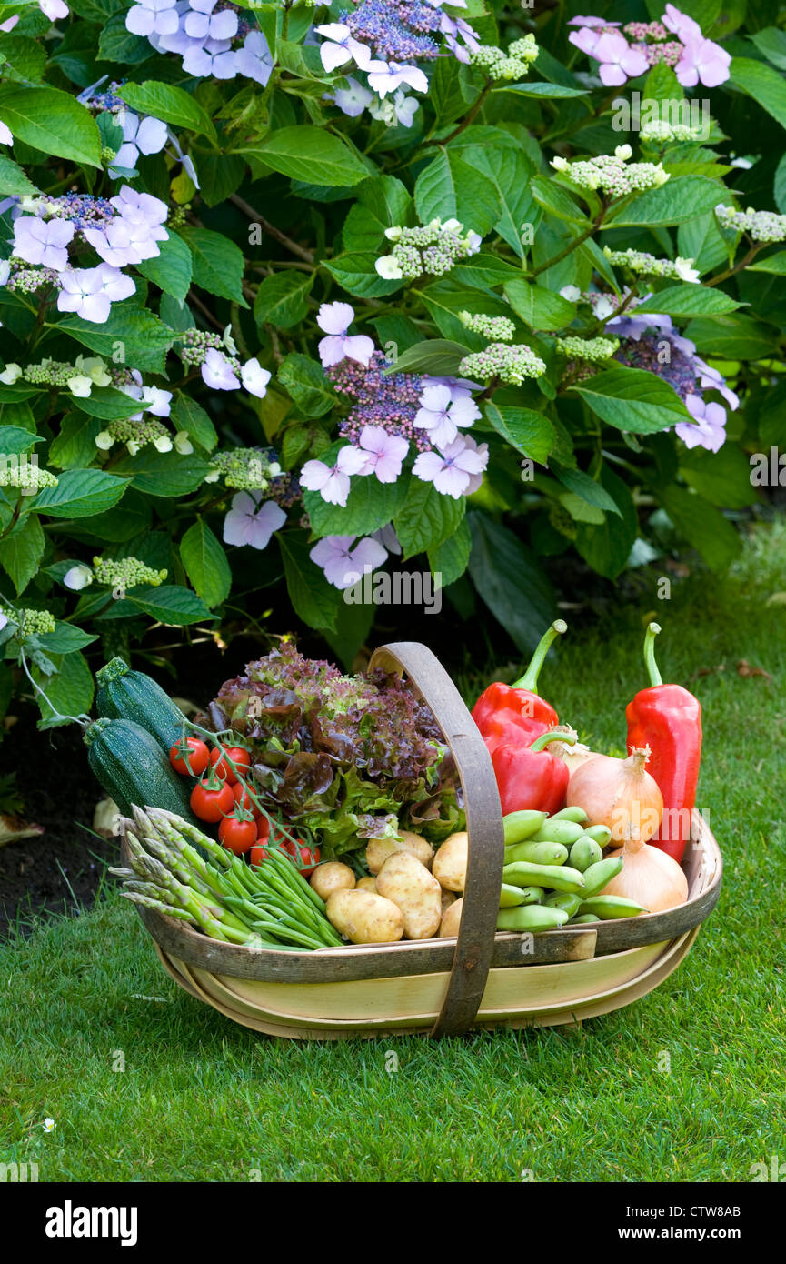 Trug vegetables hi-res stock photography and images - Alamy