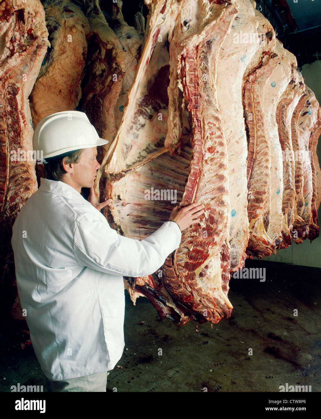 Beef carcass cut hi-res stock photography and images - Alamy