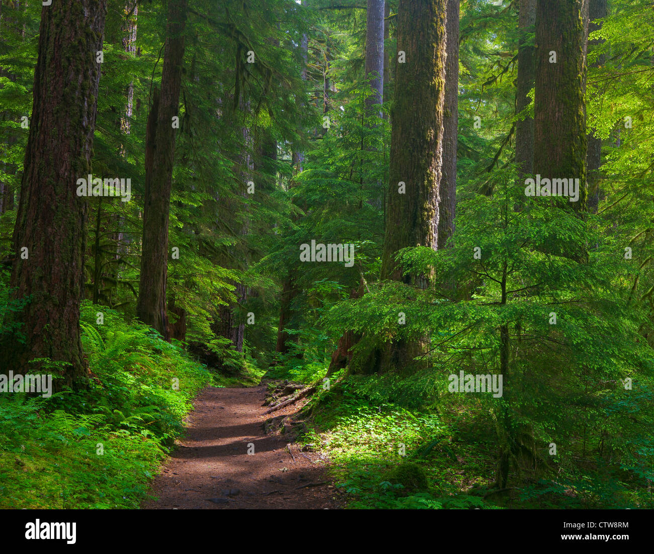 Sol duc valley hi-res stock photography and images - Alamy
