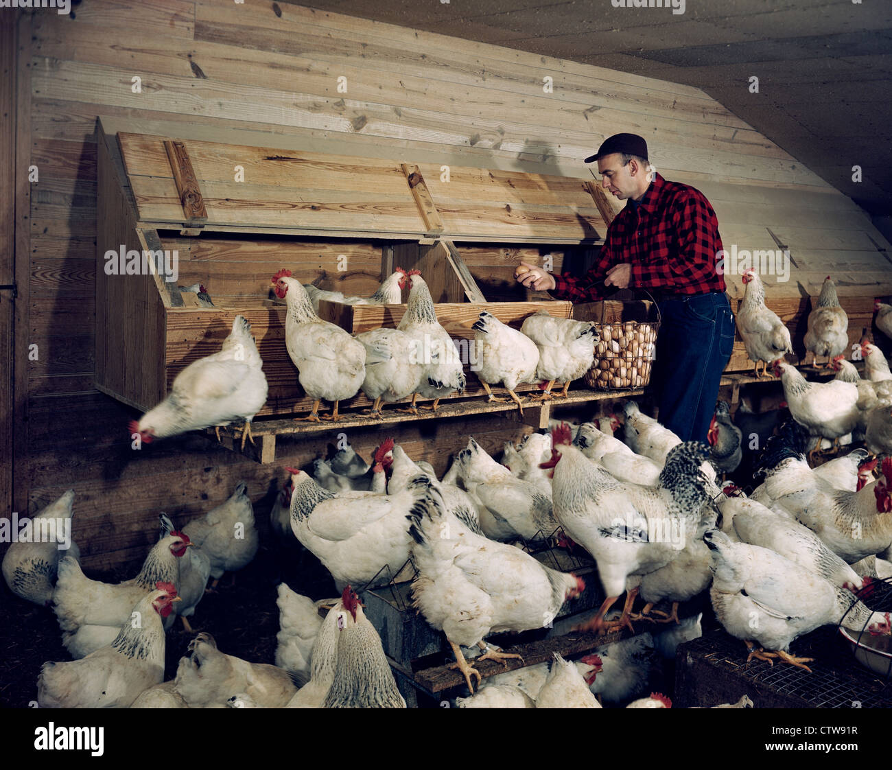 Gathering collection hi-res stock photography and images - Alamy