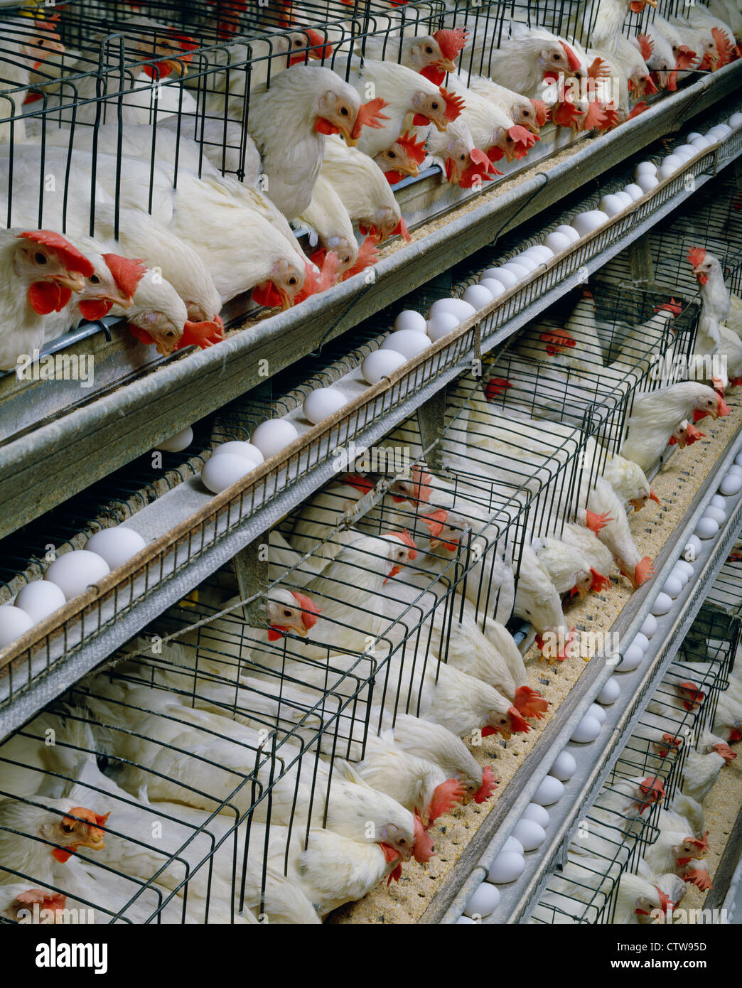 Egg crate layer hi-res stock photography and images - Alamy