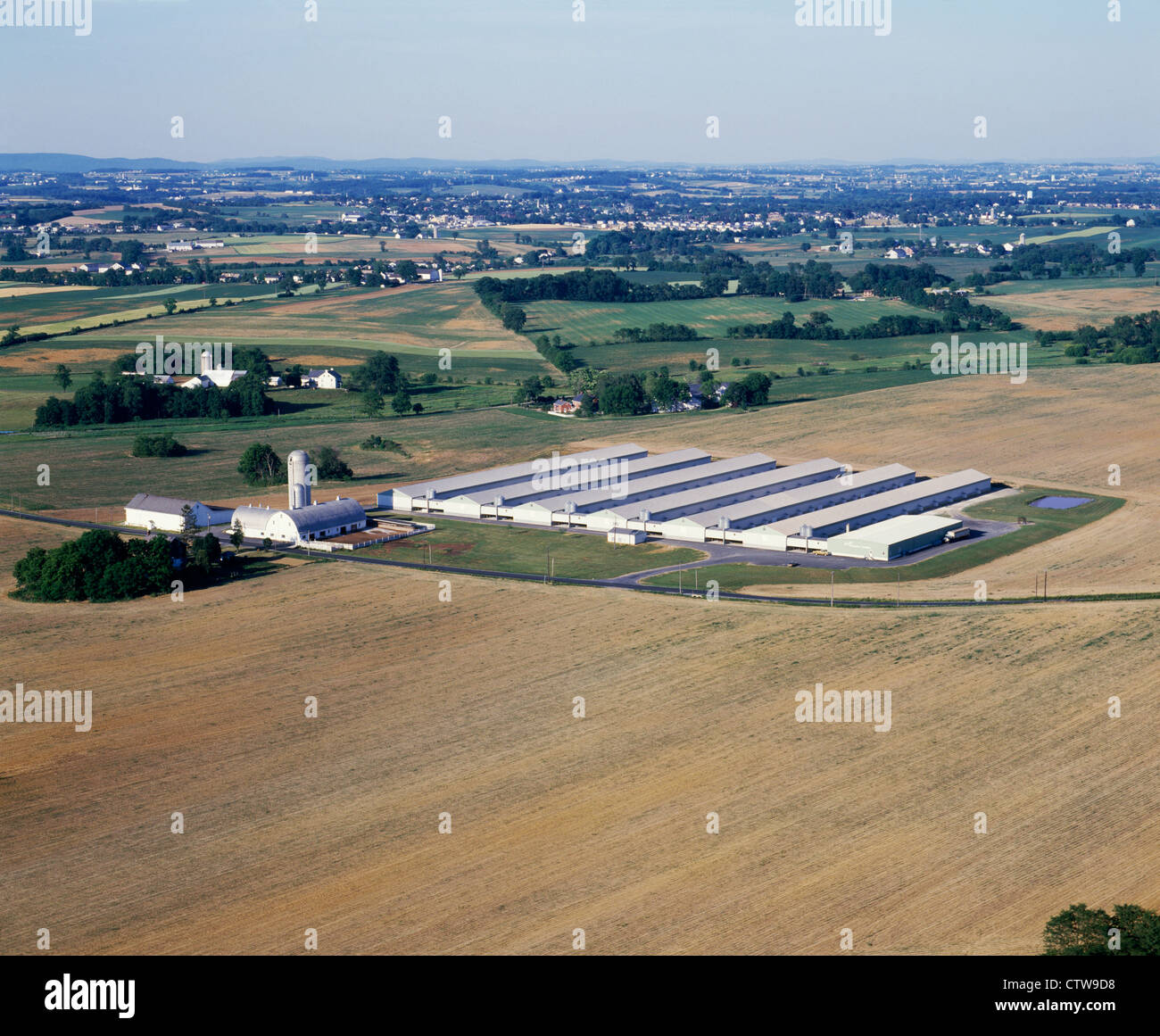Commercial chicken barn hi-res stock photography and images - Alamy